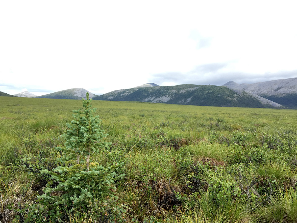 Exploring "questions worth asking" in Canada's north - Yellowstone to ...