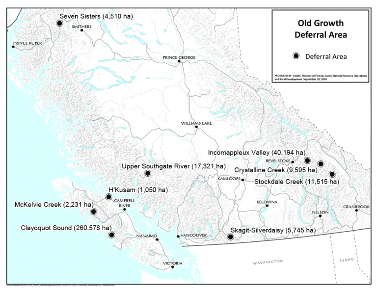 British Columbia's old growth trees still on the chopping block ...