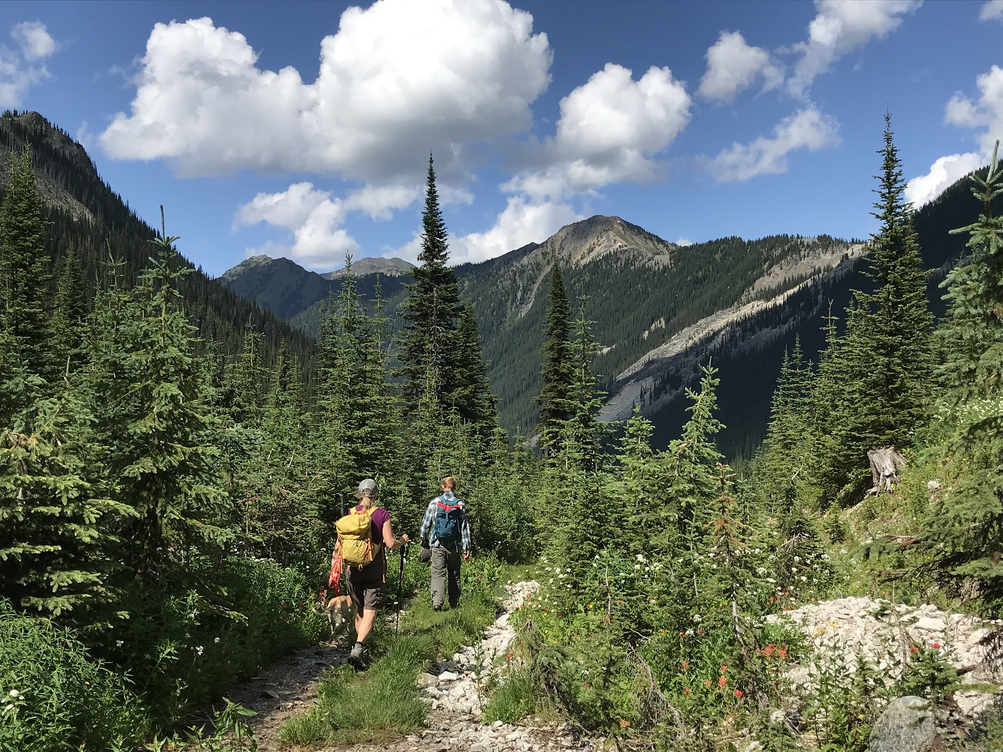 New polling shows British Columbians want action towards conservation ...