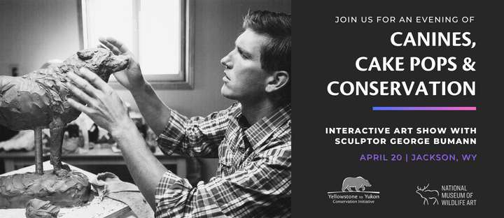 Y2Y + National Museum of Wildlife Art: Interactive art show with ...