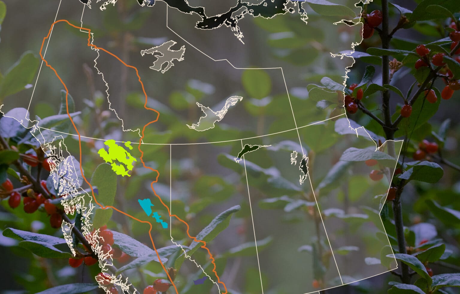 Landscape Protection - Yellowstone to Yukon Conservation Initiative