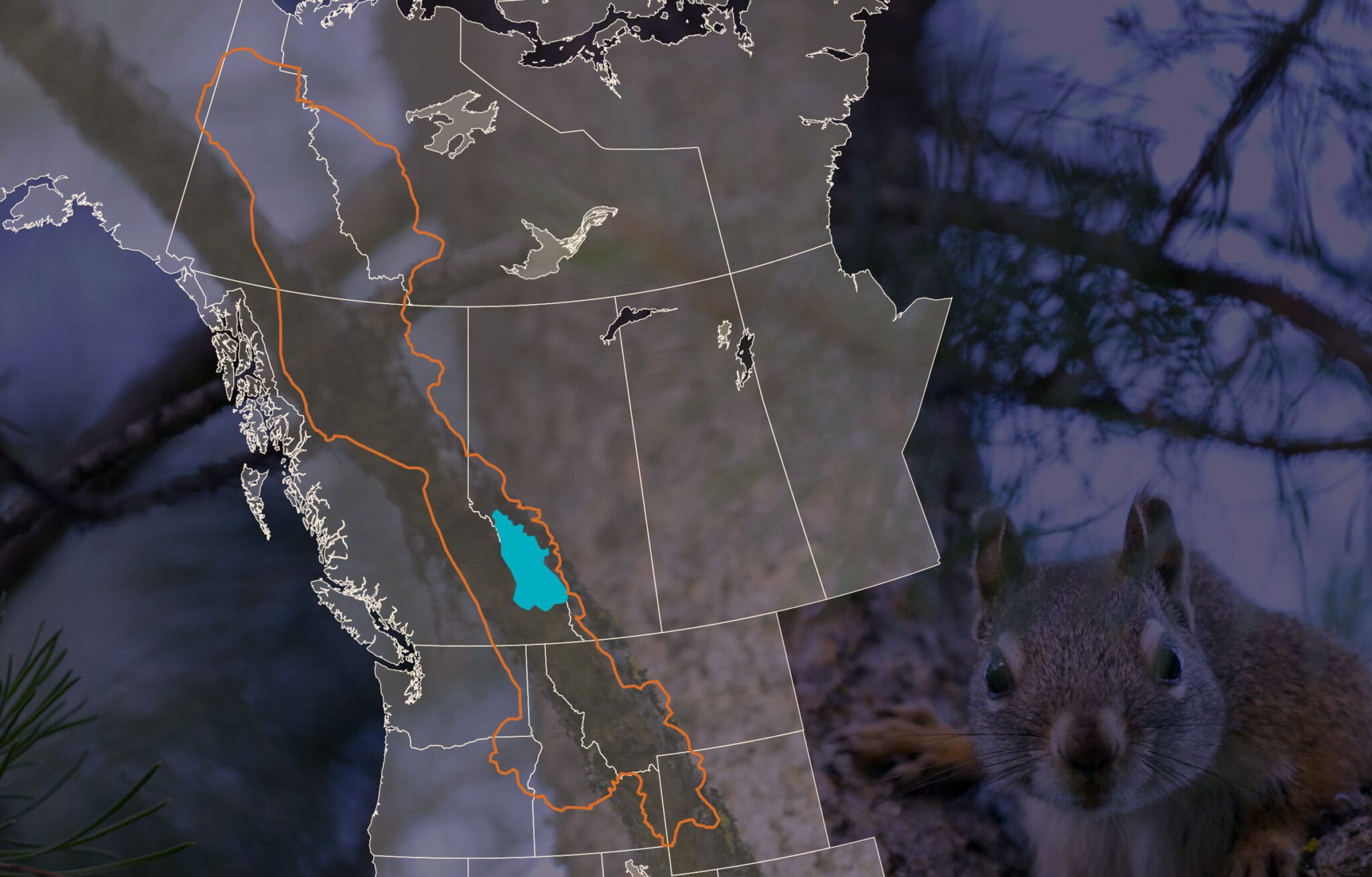 Landscape Protection - Yellowstone to Yukon Conservation Initiative