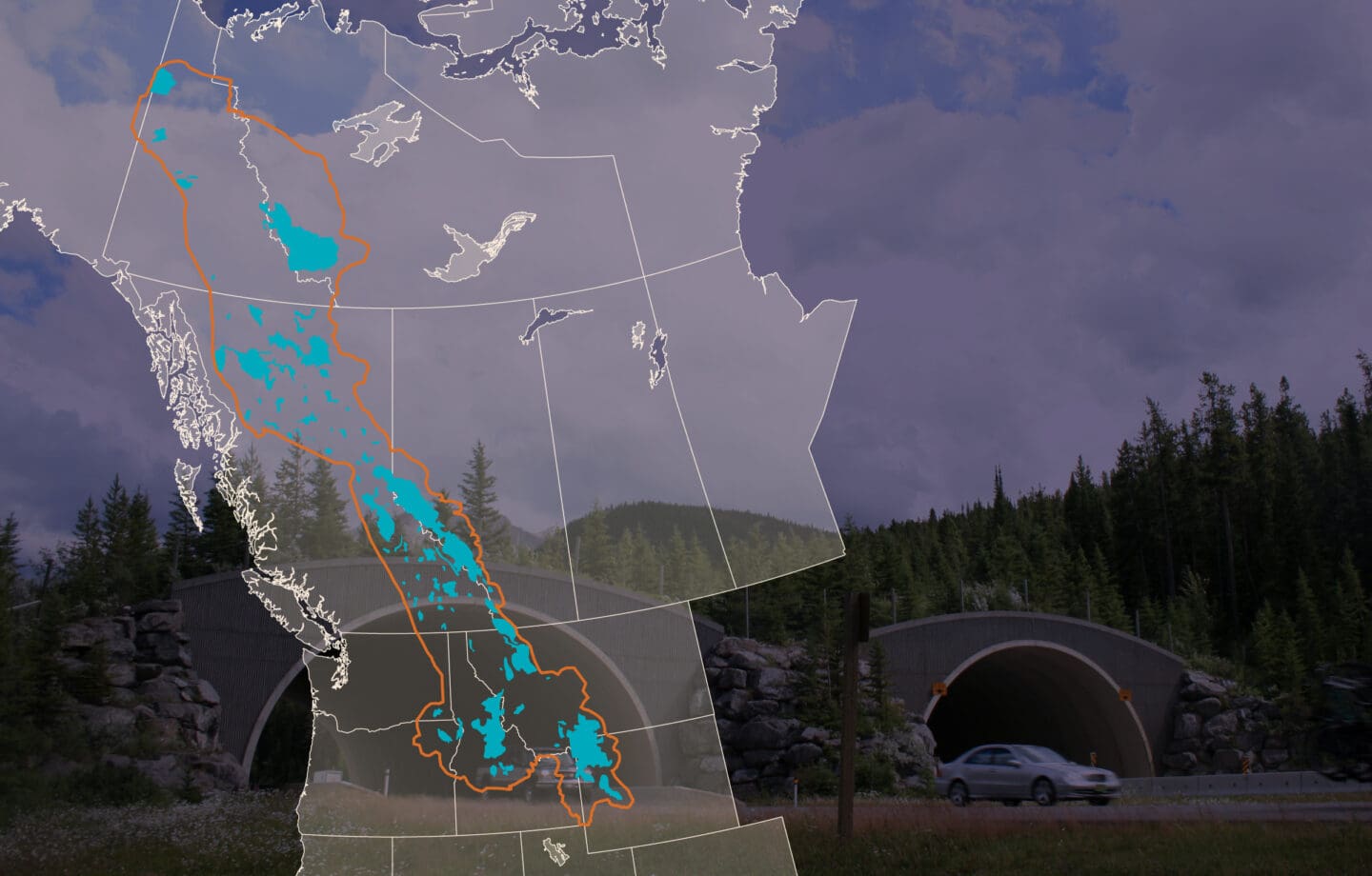 Communities & Conservation - Yellowstone to Yukon Conservation Initiative