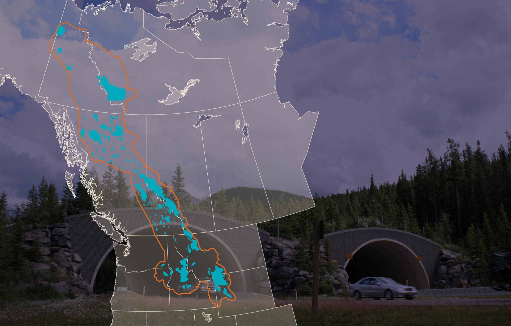 Communities & Conservation - Yellowstone to Yukon Conservation Initiative