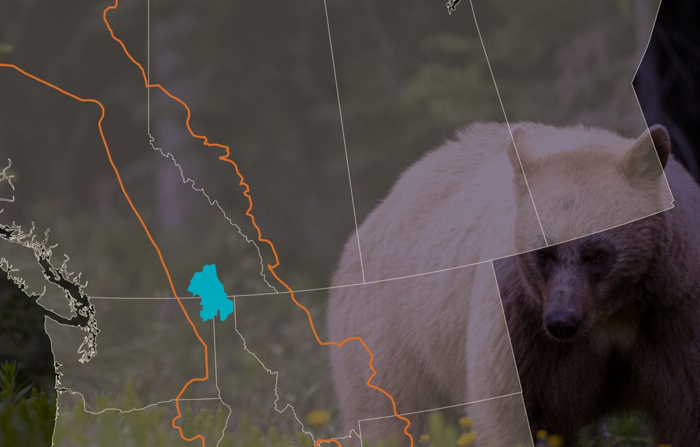 Communities & Conservation - Yellowstone to Yukon Conservation Initiative