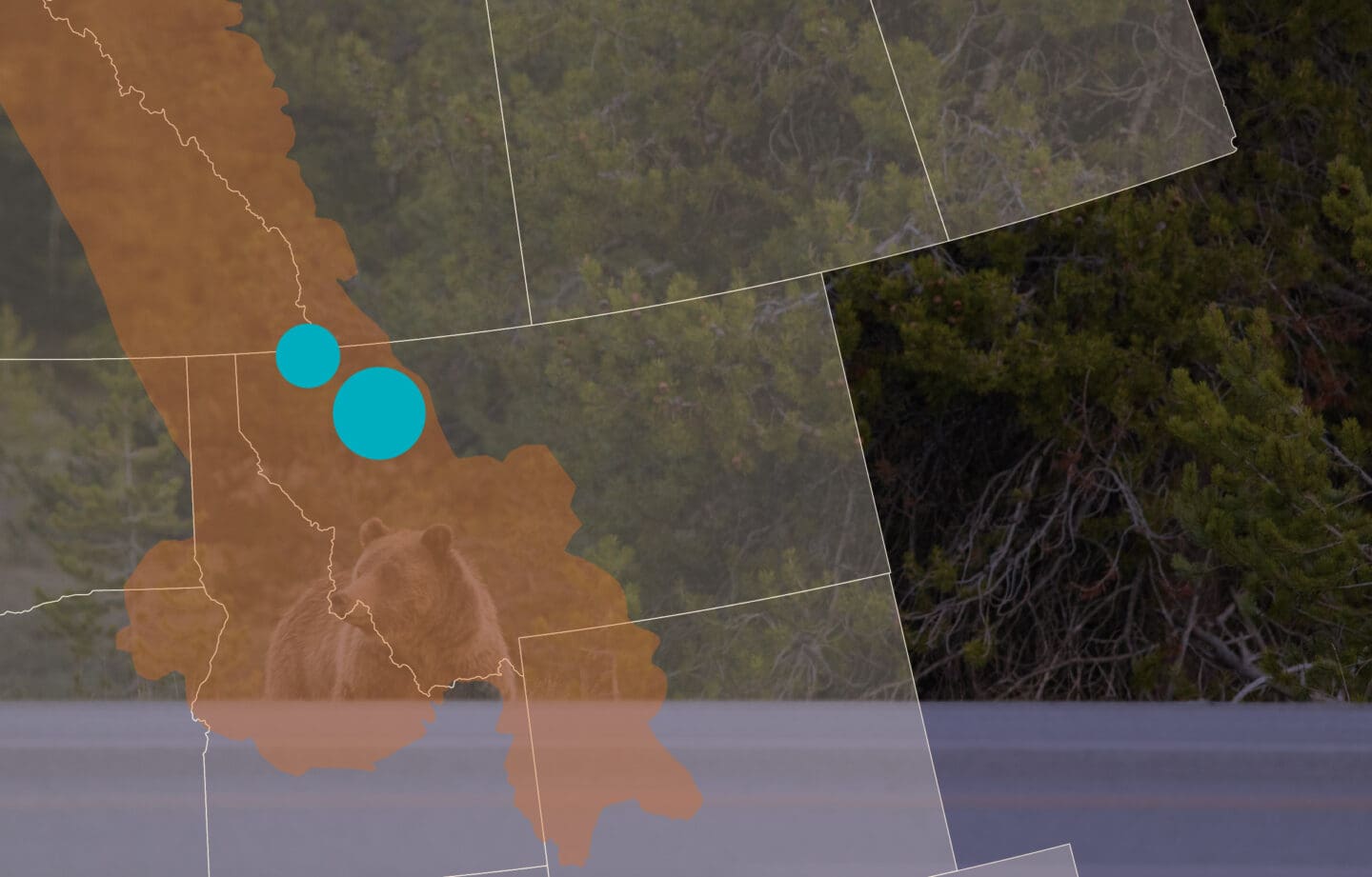 Landscape Connection - Yellowstone to Yukon Conservation Initiative