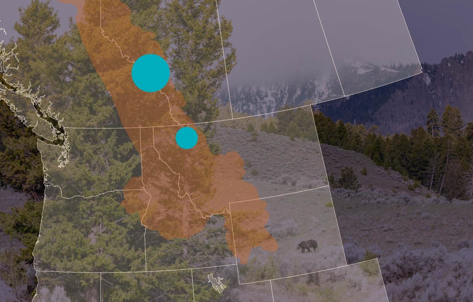 Landscape Connection - Yellowstone to Yukon Conservation Initiative