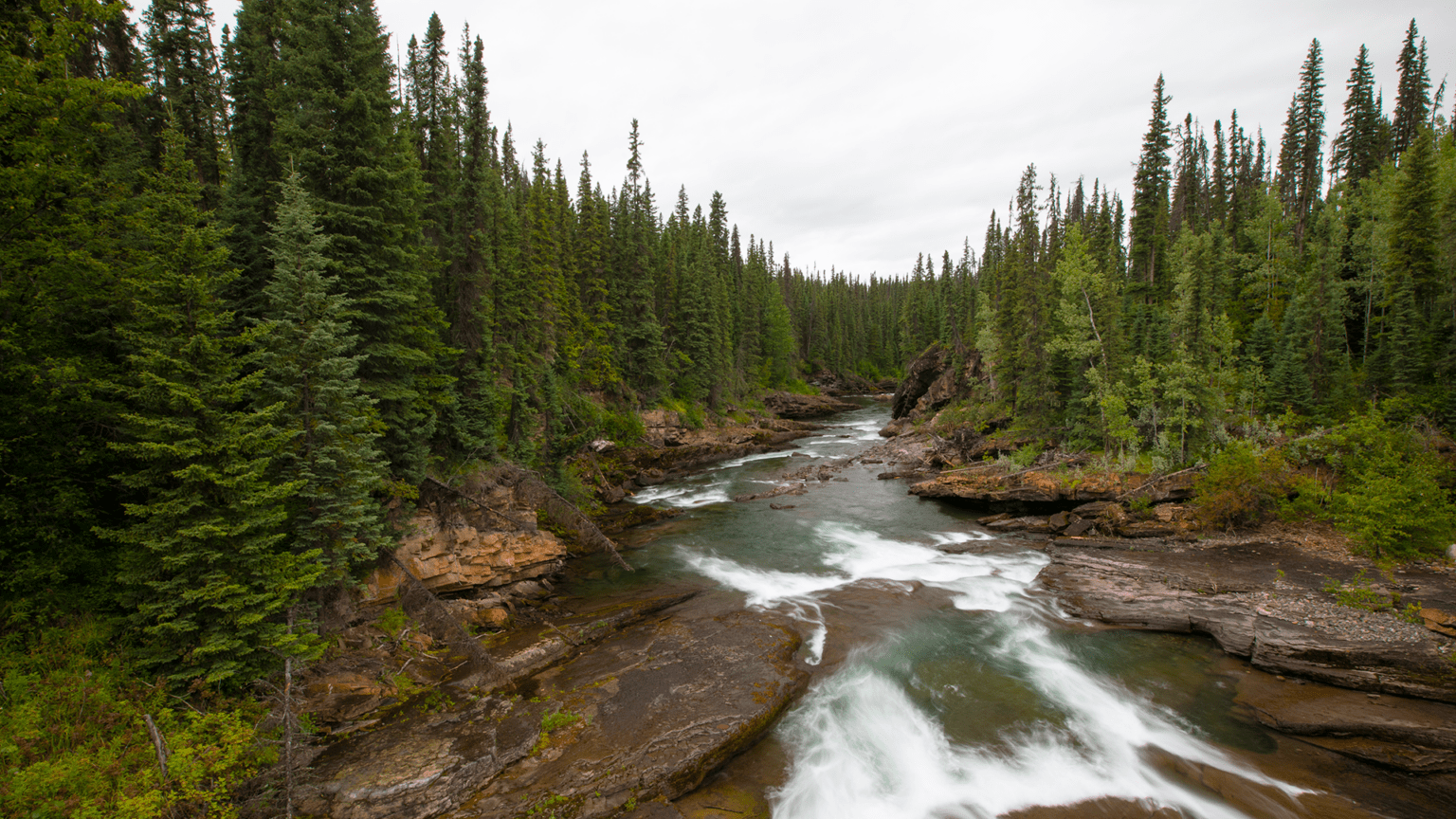 Y2Y applauds British Columbia for innovative conservation financing ...