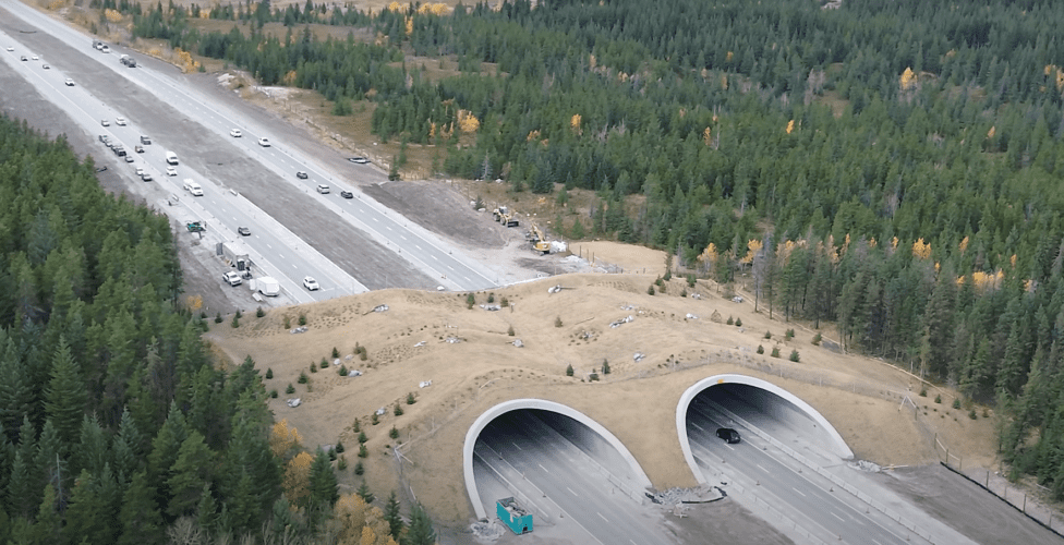 Bridging the gap: Progress on Alberta's latest wildlife crossing ...