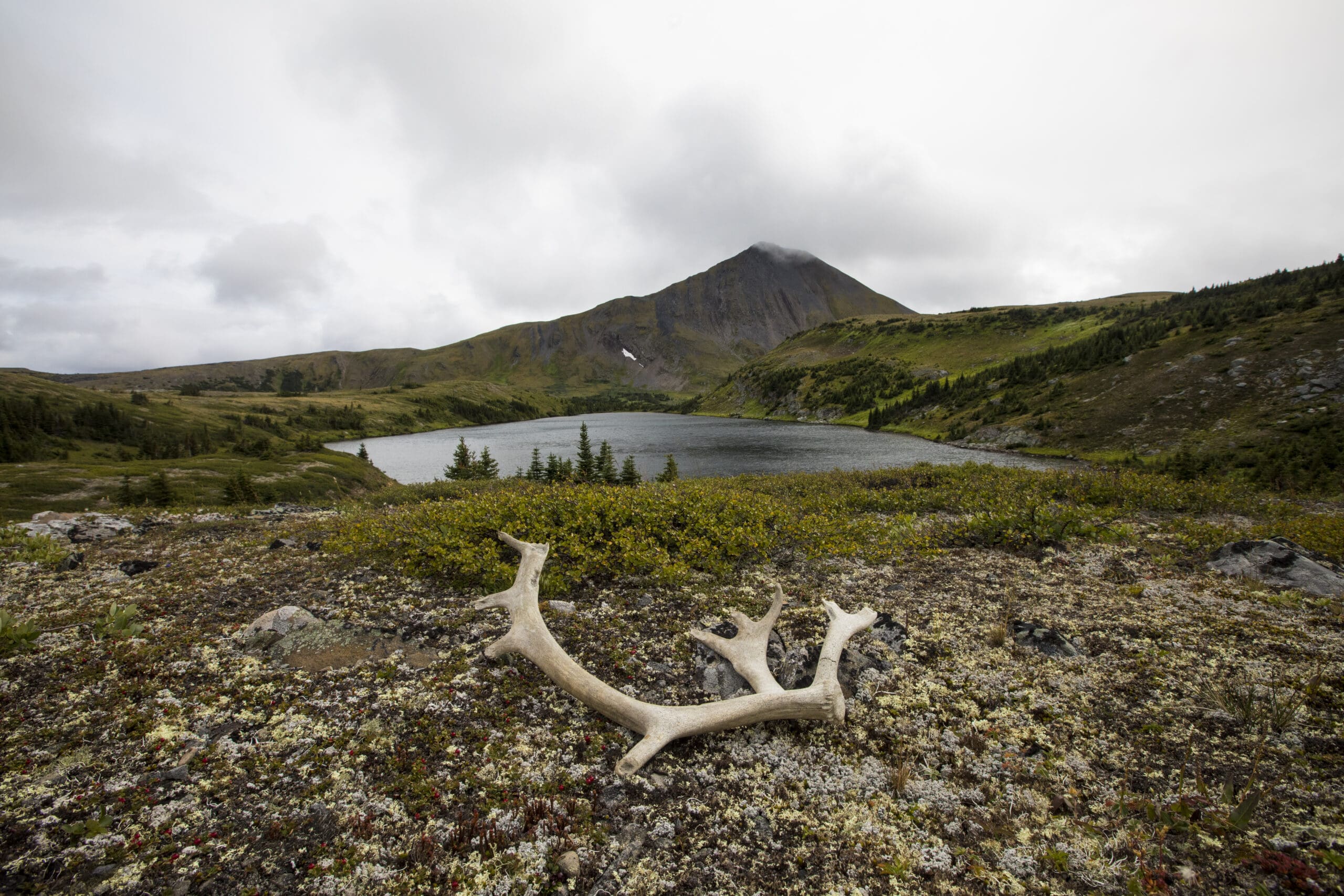 Protecting landscapes for future generations - Yellowstone to Yukon ...