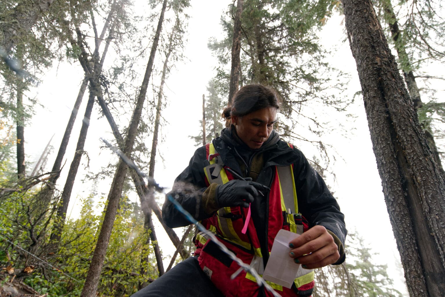 Indigenous Guardians and their leadership on the land - Yellowstone to ...