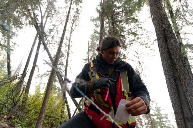 Indigenous Guardians and their leadership on the land - Yellowstone to ...