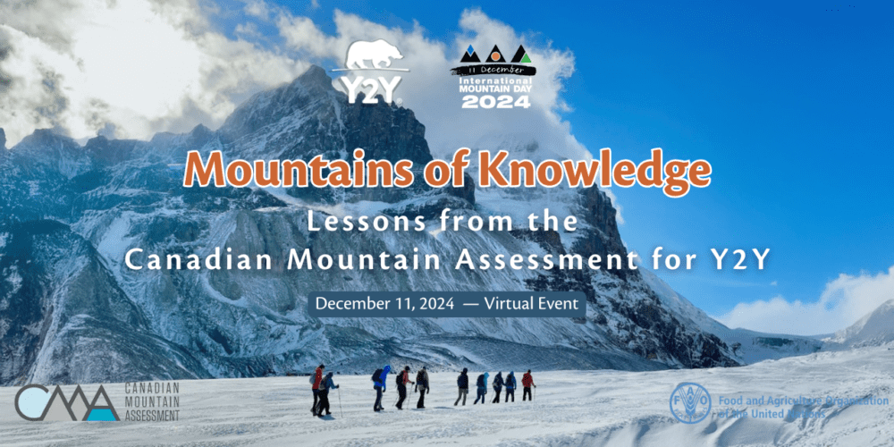 Mountains of Knowledge — International Mountain Day | Virtual, Online ...