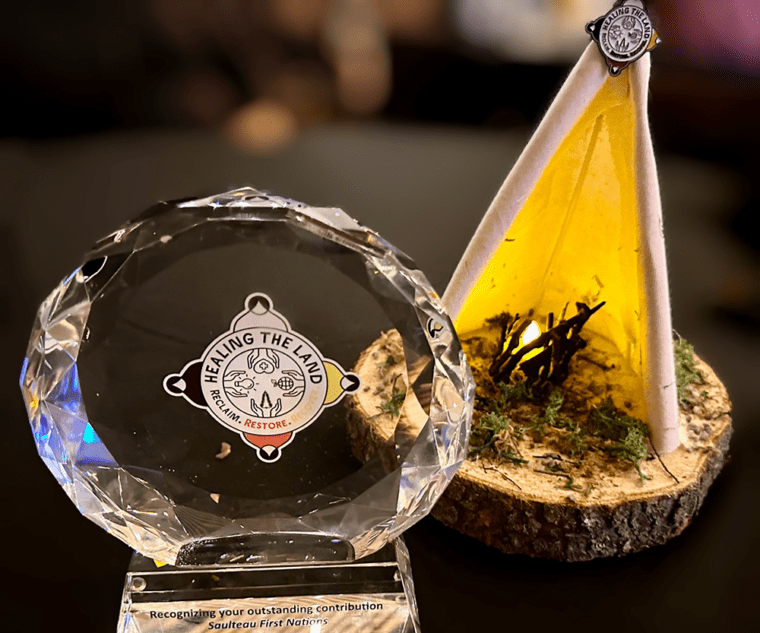 A positive partnership for caribou, communities and Indigenous-led ...