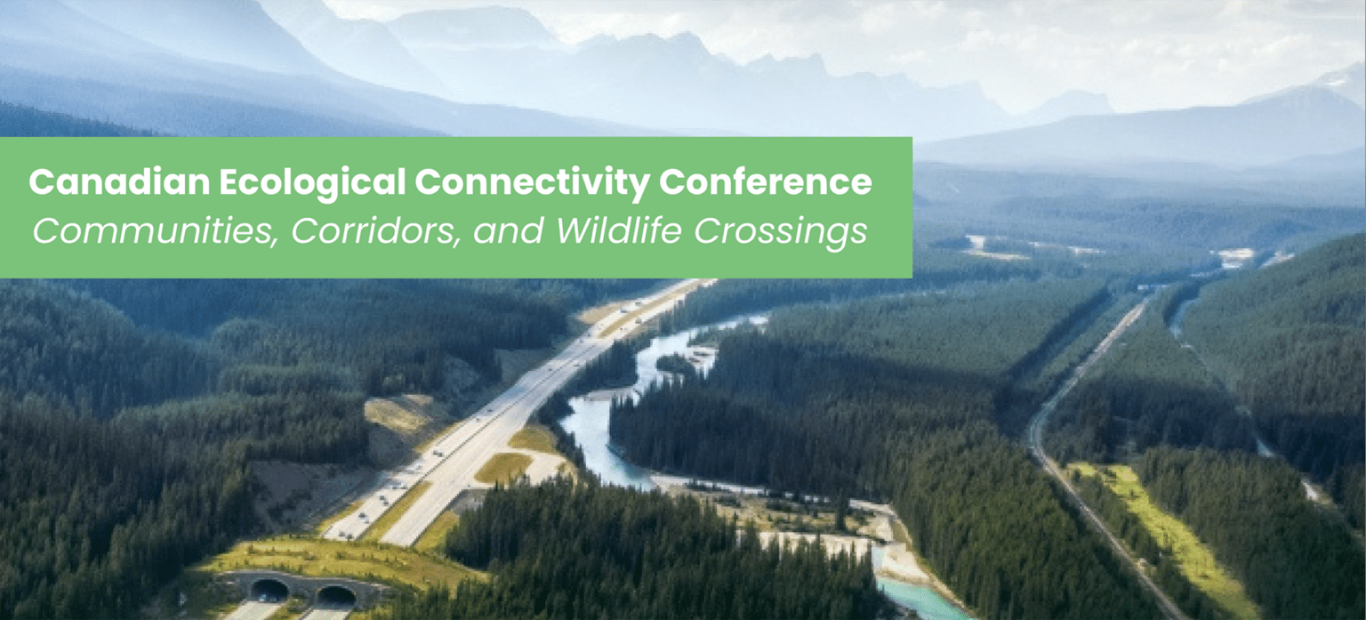 Canadian Ecological Connectivity Conference | Banff, Alta ...