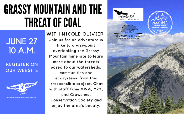 Interpretive hike: Grassy mountain and the threat of coal - Yellowstone ...